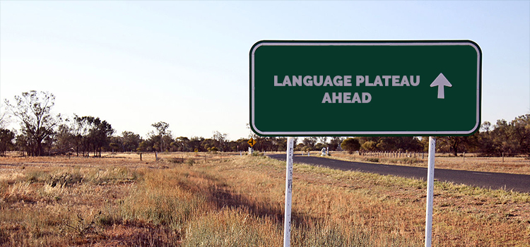 The Language Plateau and How to Get Over It